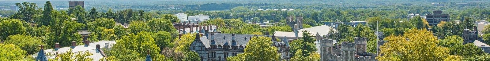 Publications | Engel Lab