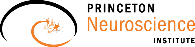 The dynamics and geometry of choice in the premotor cortex | Engel Lab